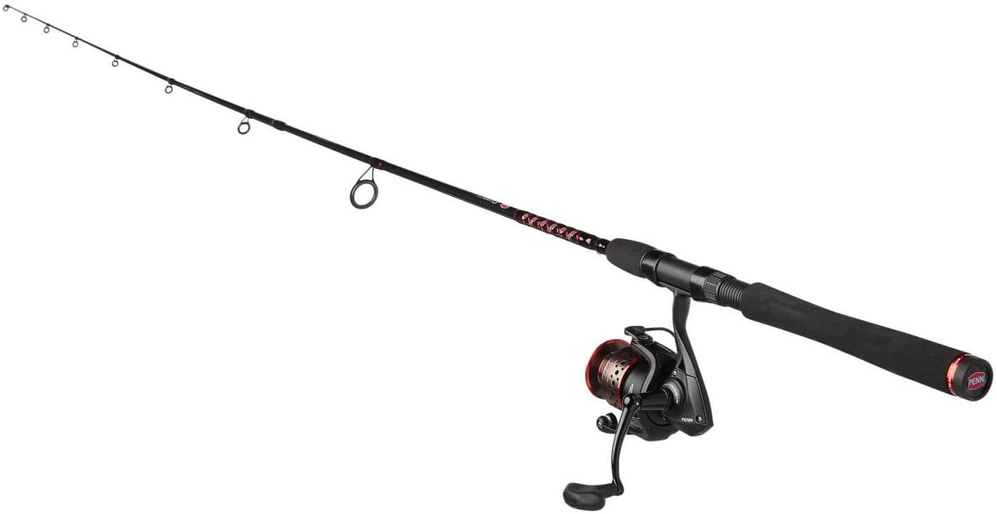 Best Rod and Reel Combo for Dolphins - Top Fishing Rods of 2021